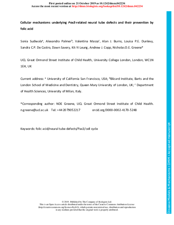 (PDF) Cellular mechanisms underlying Pax3-related neural tube defects ...