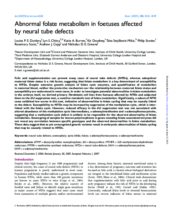 (PDF) Abnormal folate metabolism in foetuses affected by neural tube ...