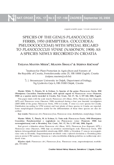 (PDF) Pseudococcidae) with Special Regard to Planococcus Vovae (Nasonov ...