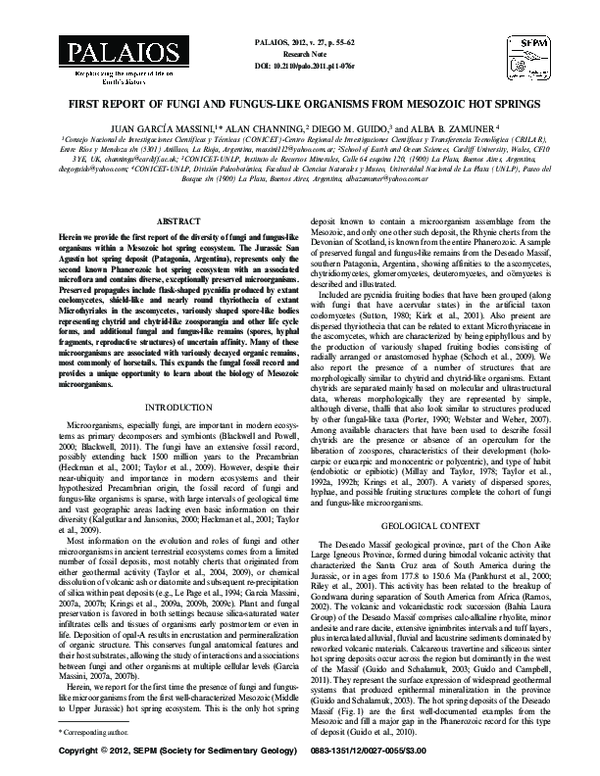 (PDF) First Report of Fungi and Fungus-Like Organisms from Mesozoic Hot ...