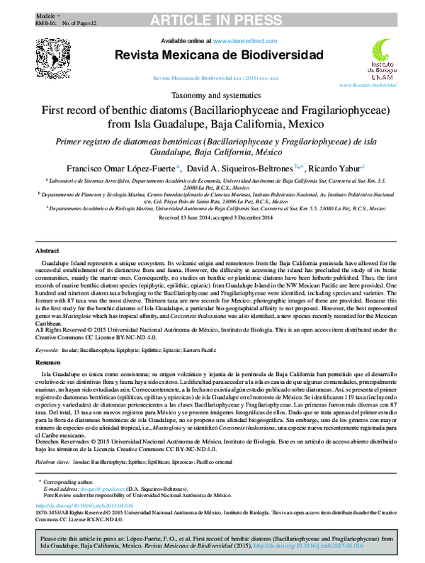 (PDF) First record of benthic diatoms (Bacillariophyceae and ...