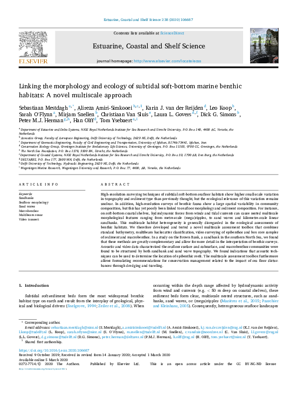 (PDF) Linking the morphology and ecology of subtidal soft-bottom marine ...