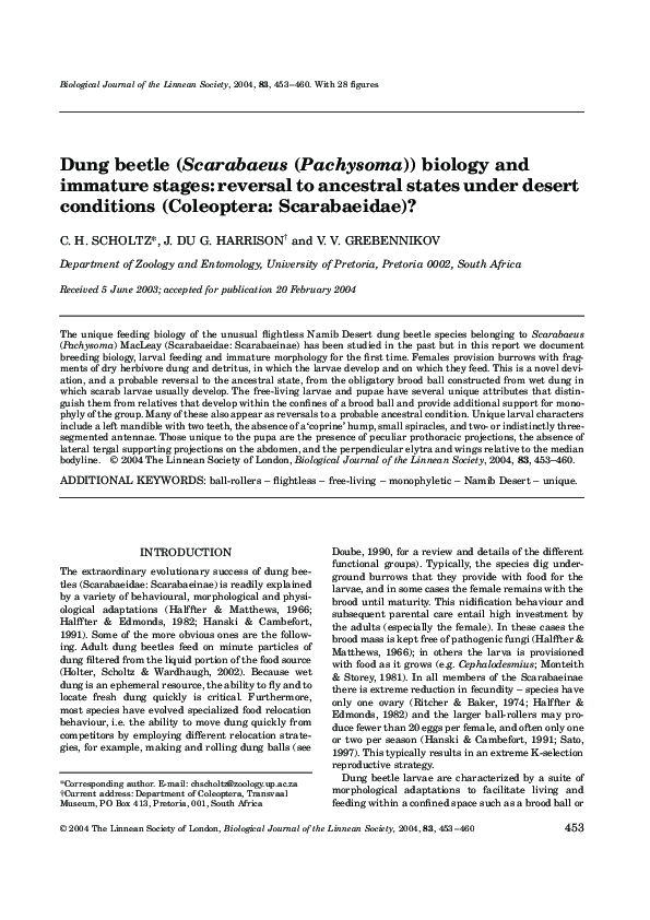 (PDF) Dung beetle (Scarabaeus (Pachysoma)) biology and immature stages ...