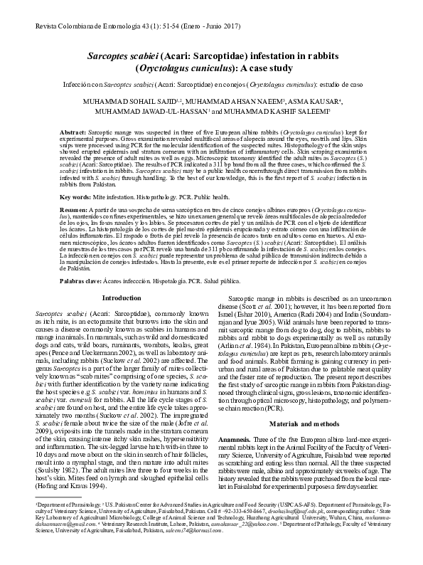 (PDF) Sarcoptes scabiei (Acari: Sarcoptidae) infestation in rabbits ...