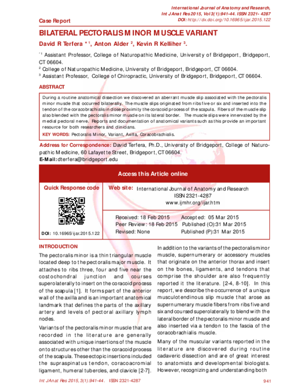 (PDF) Bilateral Pectoralis Minor Muscle Variant: A Case Report