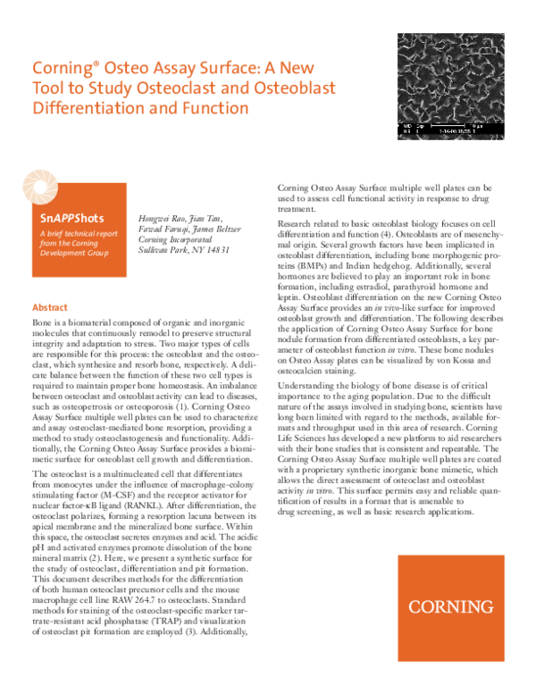 (PDF) Corning ® Osteo Assay Surface: A New Tool to Study Osteoclast and ...
