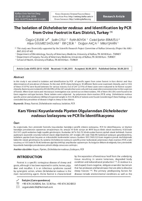 (PDF) The Isolation of Dichelobacter nodosus and Identification by PCR ...