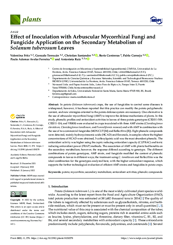 (PDF) Effect of Inoculation with Arbuscular Mycorrhizal Fungi and Fungicide Application on the ...