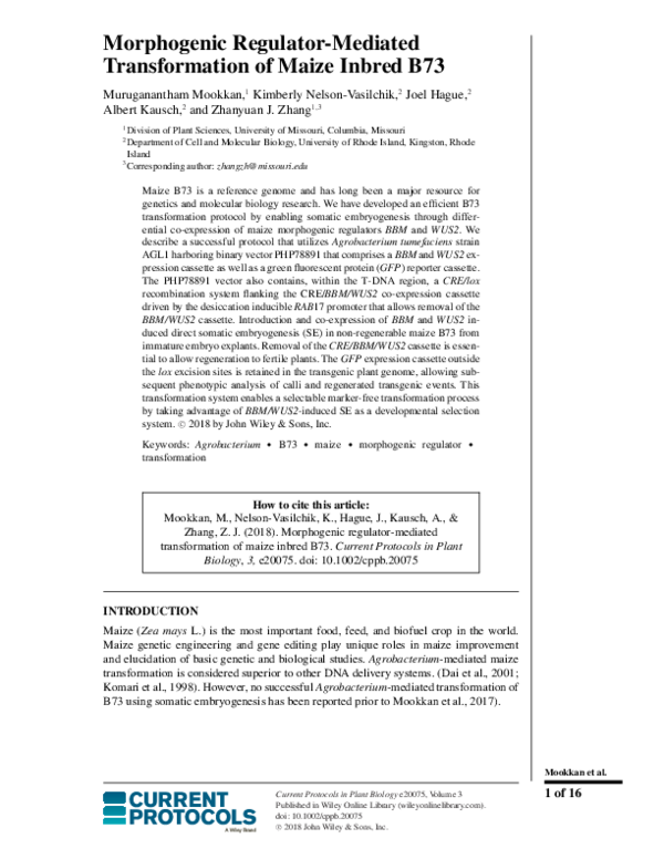 (PDF) Morphogenic Regulator-Mediated Transformation of Maize Inbred B73 ...
