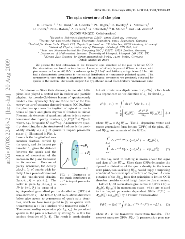 (PDF) Spin Structure of the Pion