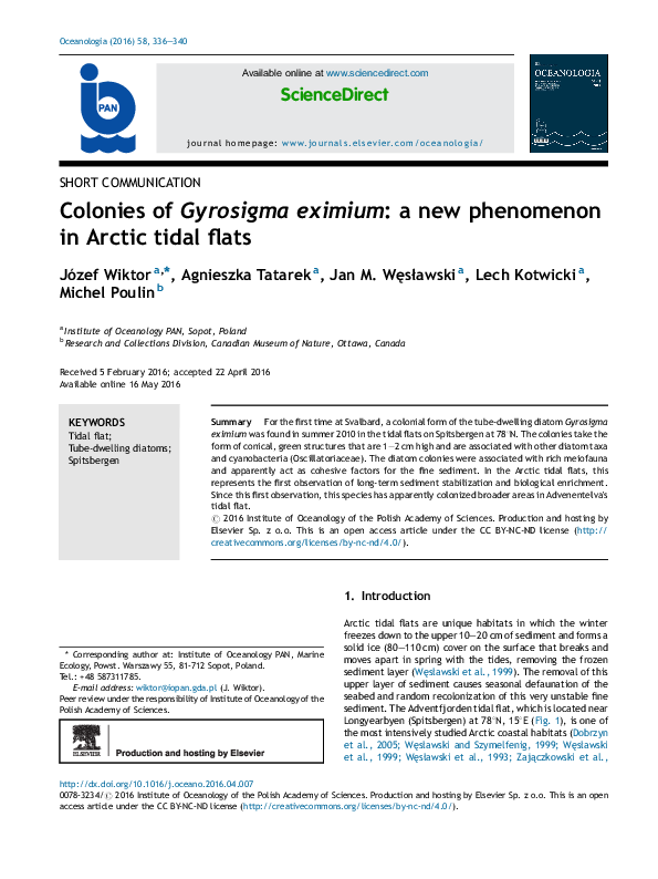 (PDF) Colonies of Gyrosigma eximium: a new phenomenon in Arctic tidal flats