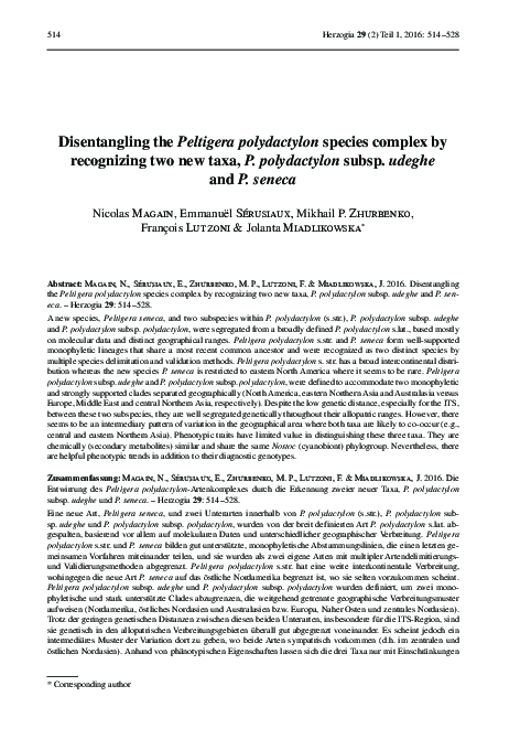 (PDF) Disentangling the Peltigera polydactylon Species Complex by ...