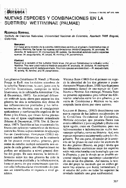 (PDF) Nuevas especies y combinaciones en la Subtribu Wettiniinae (Palmae)