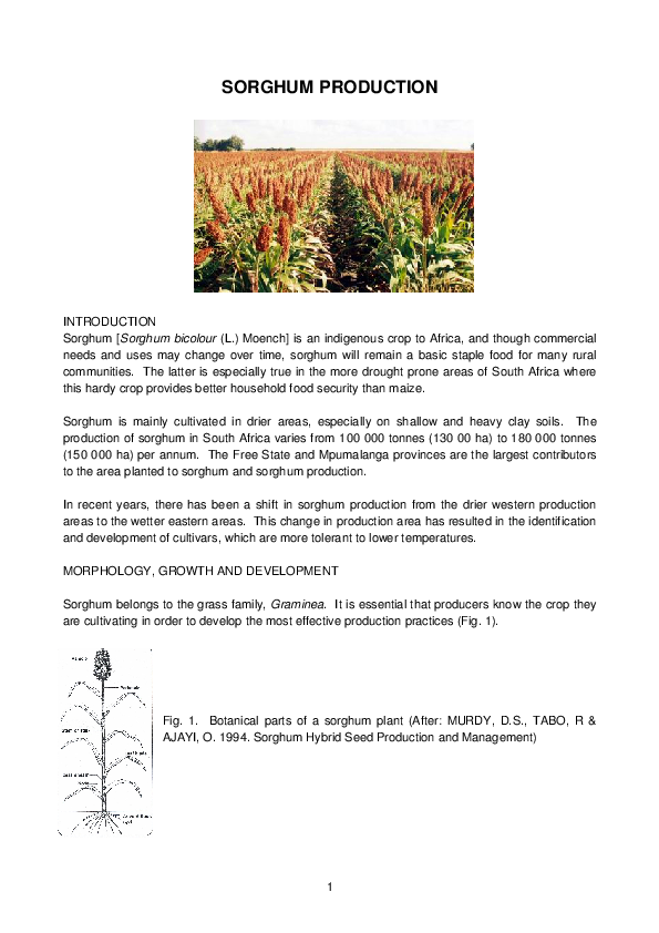 (PDF) Sorghum Production