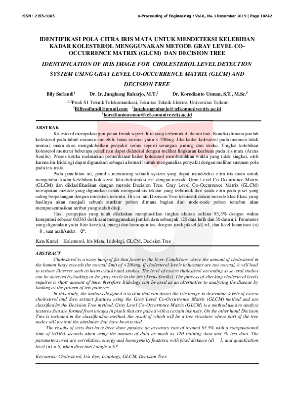 (PDF) Identifikasi Pola Citra Iris Mata Untuk Mendeteksi Kelebihan ...