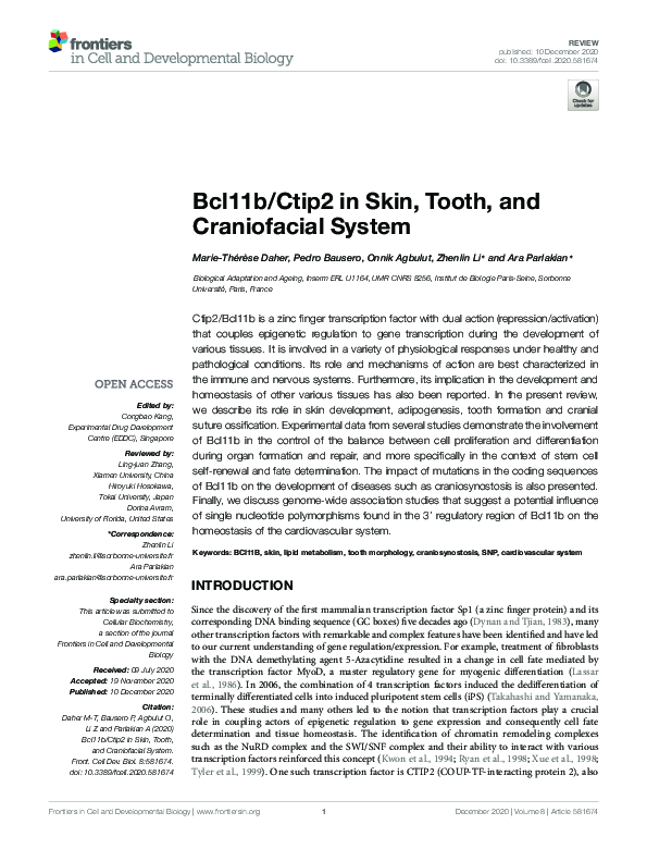 (PDF) Bcl11b/Ctip2 in Skin, Tooth, and Craniofacial System