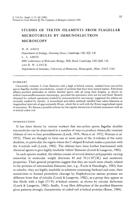 (PDF) Studies of Tektin Filaments from Flagellar Microtubules by ...