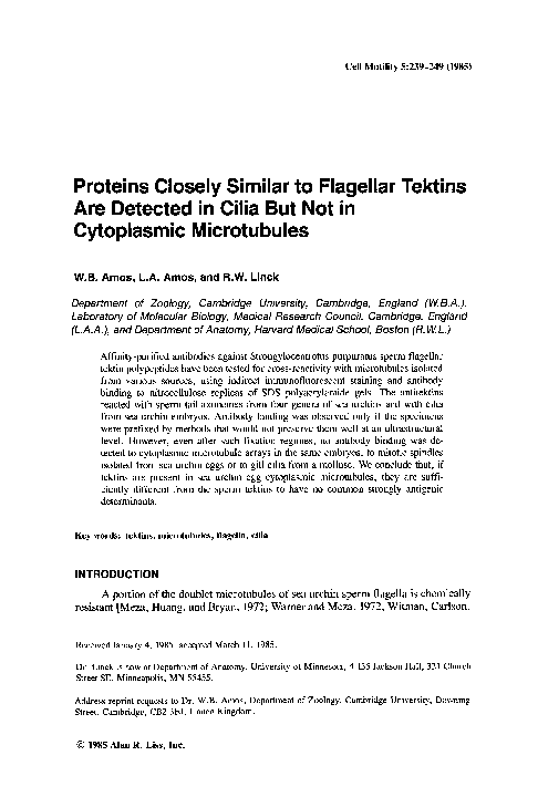 (PDF) Proteins closely similar to flagellar tektins are detected in ...