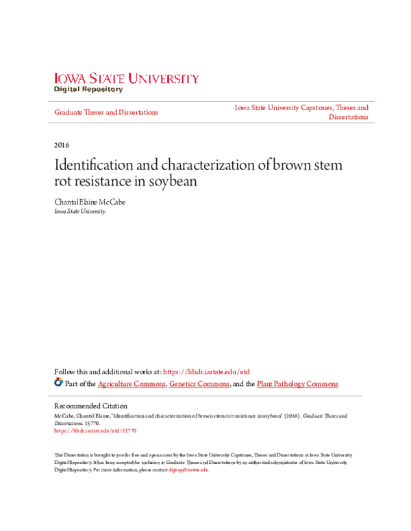 (PDF) Validity of the Workers Productivity and Activity Impairment ...