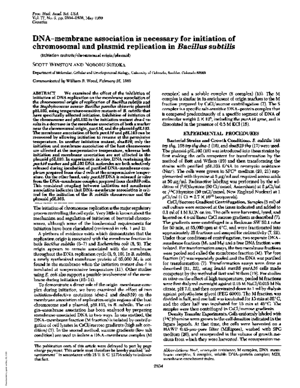 (PDF) DNA-membrane association is necessary for initiation of chromosomal and plasmid ...