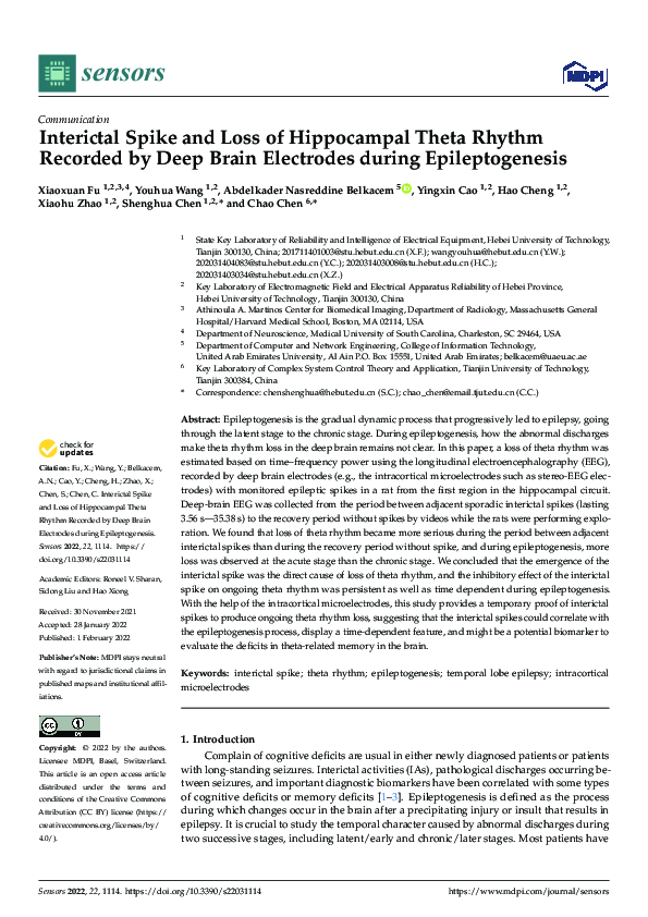 (PDF) Interictal Spike and Loss of Hippocampal Theta Rhythm Recorded by ...