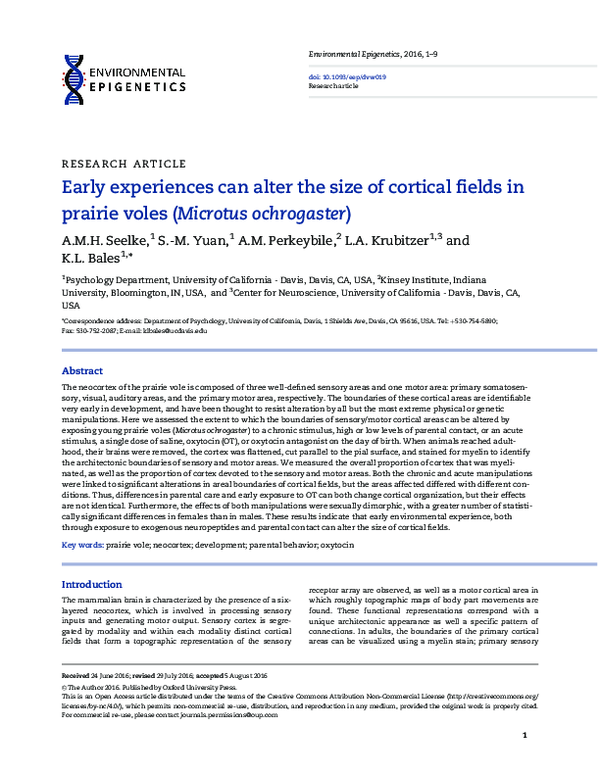 (PDF) The Relationship between Social Support, Social Adjustment ...