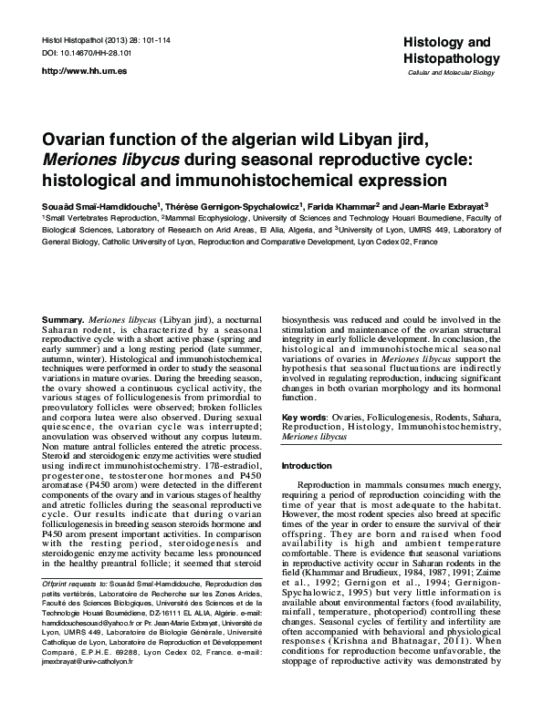 (PDF) Ovarian function of the Algerian wild Libyan jird, Meriones ...