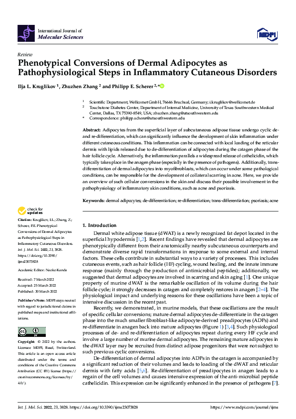 (PDF) Phenotypical Conversions of Dermal Adipocytes as ...
