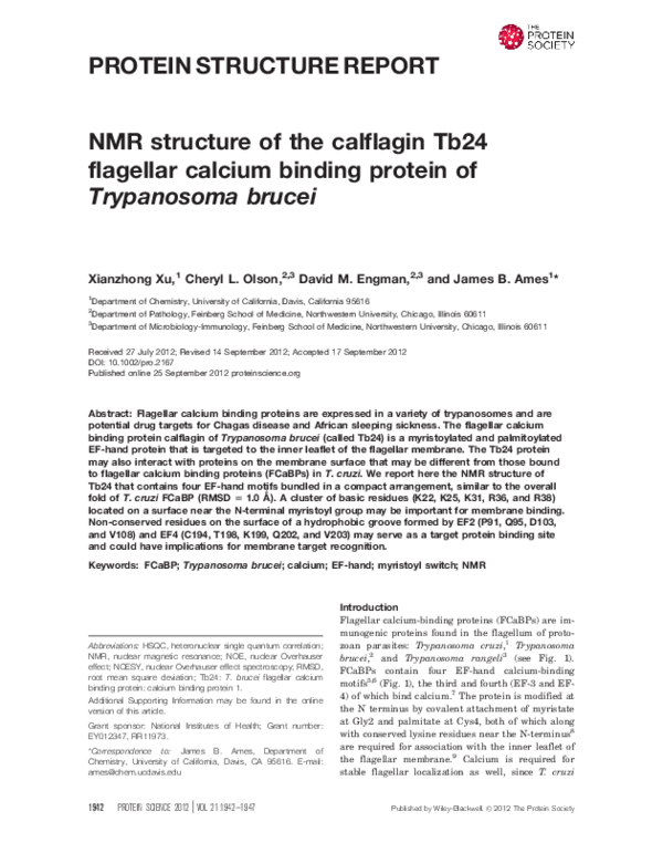 (PDF) NMR structure of the calflagin Tb24 flagellar calcium binding ...