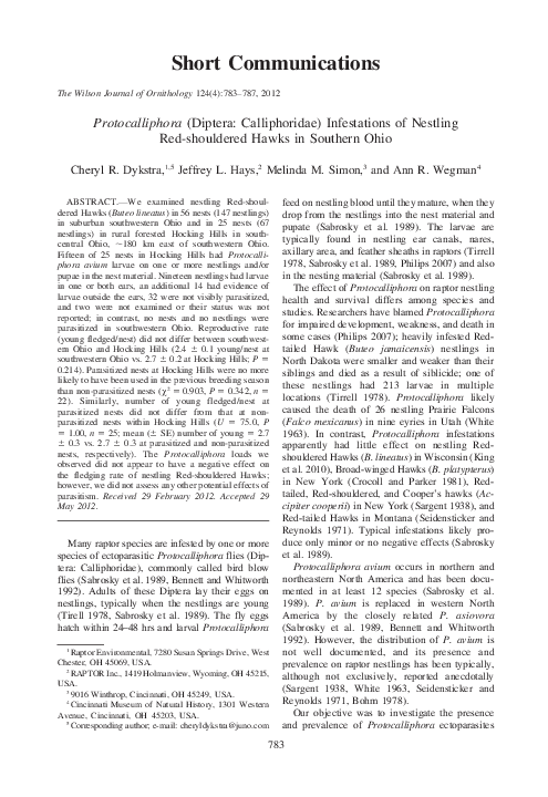 (PDF) Protocalliphora (Diptera: Calliphoridae) Infestations of Nestling ...