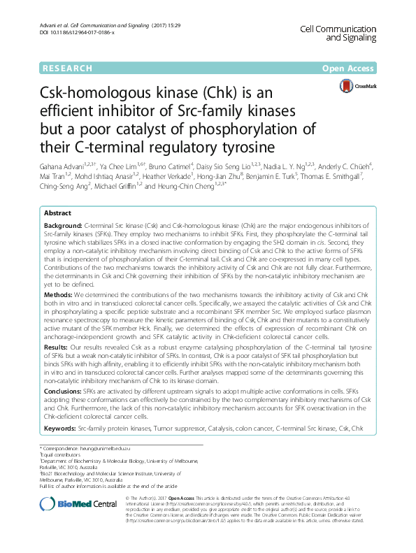 (PDF) Csk-homologous kinase (Chk) is an efficient inhibitor of Src ...