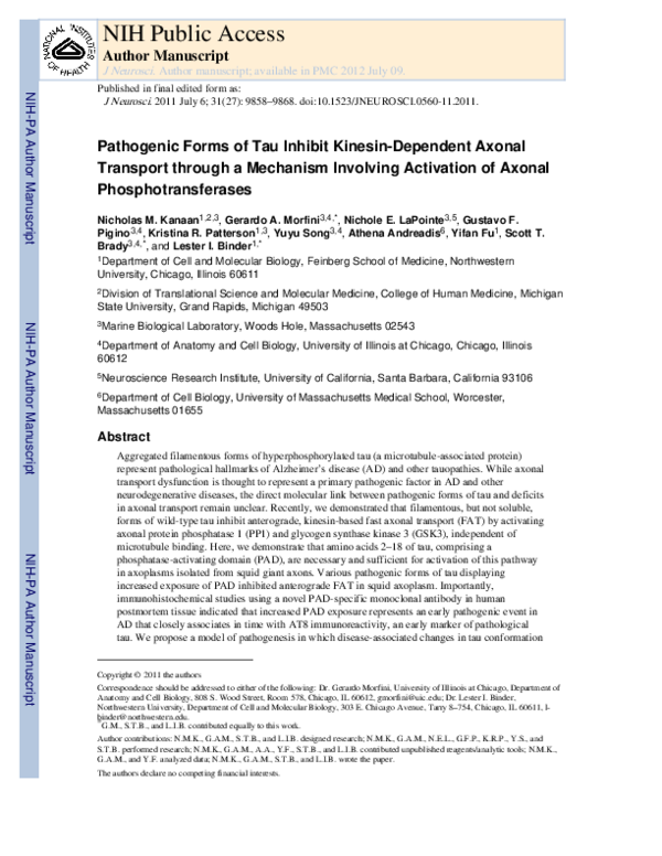 (PDF) Pathogenic Forms of Tau Inhibit Kinesin-Dependent Axonal ...