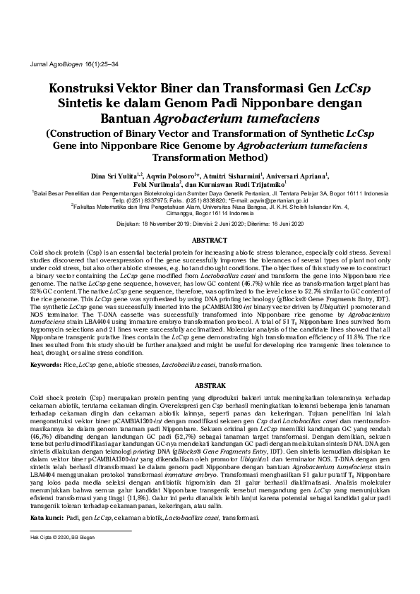 (PDF) Construction of Binary Vector and Transformation of Synthetic ...