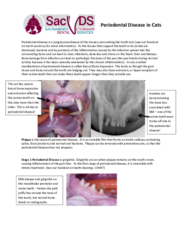 (PDF) Periodontal disease in cats: Back to basics - with an eye on the ...