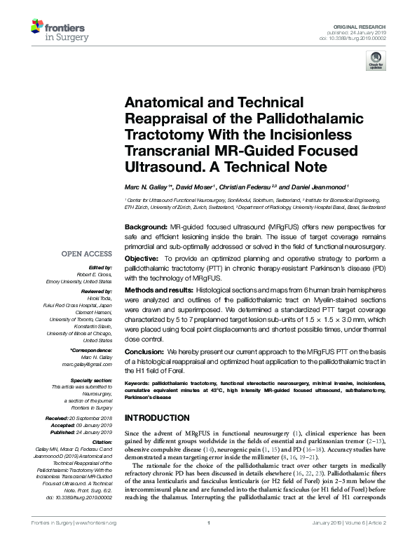 (PDF) Anatomical and Technical Reappraisal of the Pallidothalamic ...