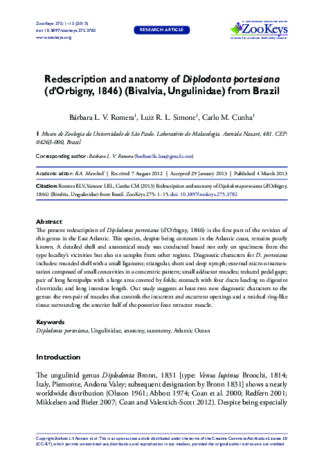 (PDF) Redescription and anatomy of Diplodonta portesiana (d'Orbigny ...