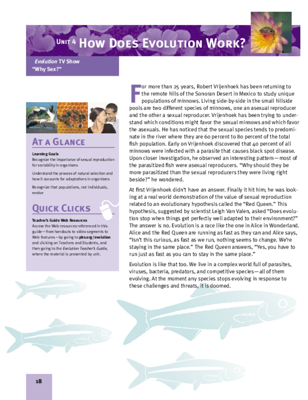 (PDF) How does evolution work?