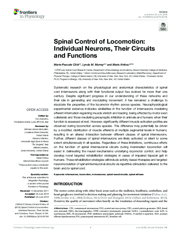 (PDF) Spinal Control of Locomotion: Individual Neurons, Their Circuits ...