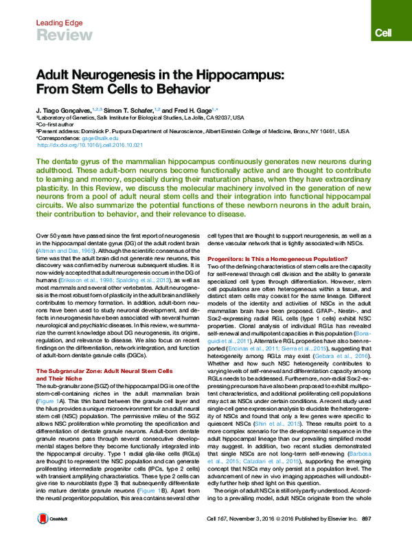 (PDF) Adult Neurogenesis in the Hippocampus: From Stem Cells to Behavior