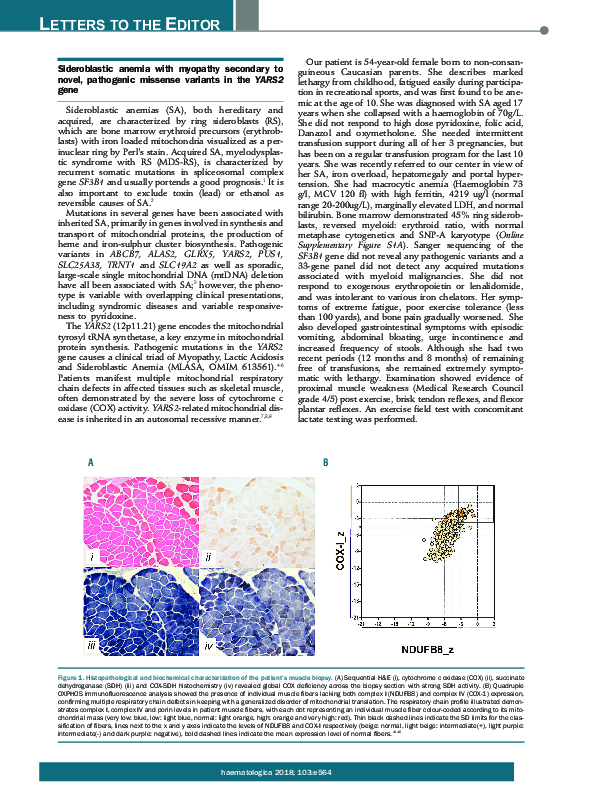 (PDF) Sideroblastic anemia with myopathy secondary to novel, pathogenic ...