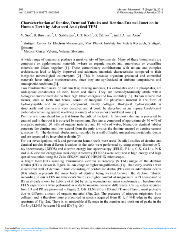 (PDF) Characterization of Dentine, Dentinal Tubules and Dentine-Enamel ...