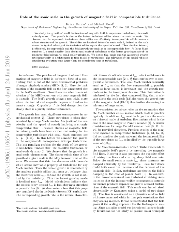 (PDF) The role of the sonic scale in the growth of magnetic field in ...