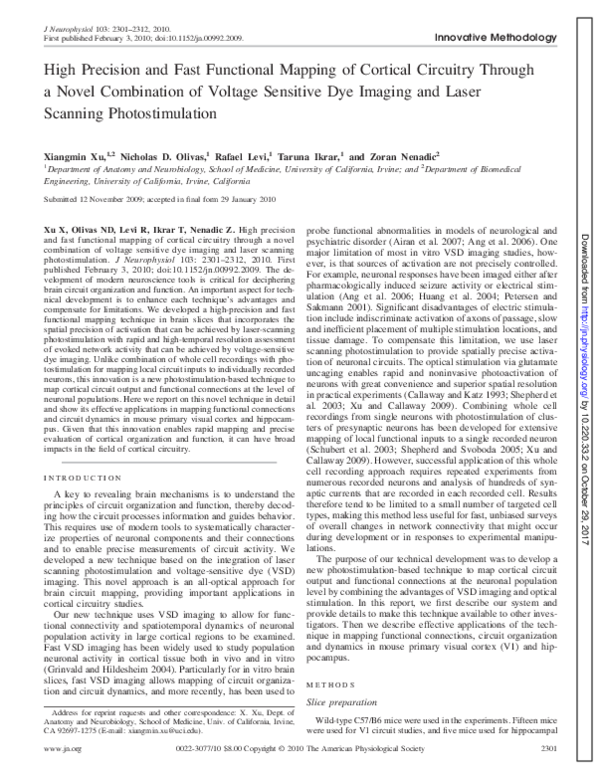 (PDF) High Precision and Fast Functional Mapping of Cortical Circuitry ...