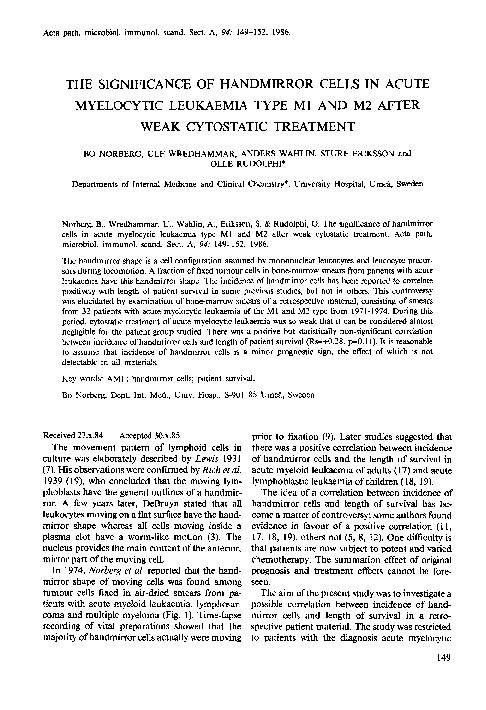 (PDF) The Significance of Handmirror Cells in Acute Myelocytic ...