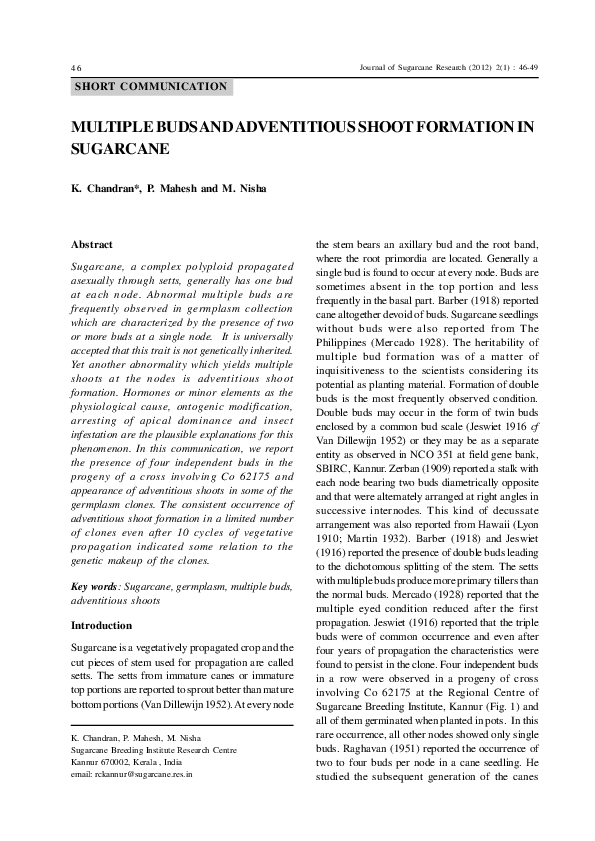 (PDF) Multiple Buds and Adventitious Shoot Formation in Sugarcane