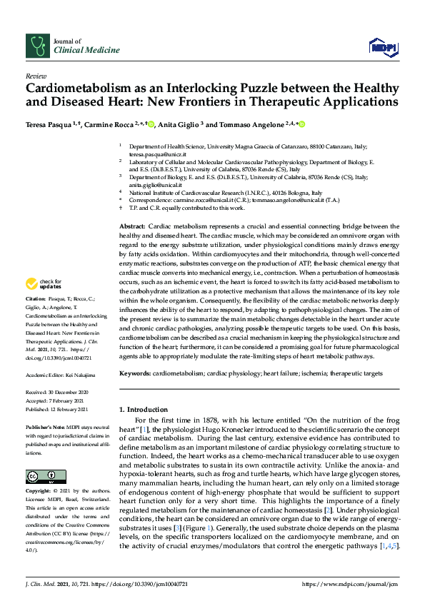 (PDF) Cardiometabolism as an Interlocking Puzzle between the Healthy ...