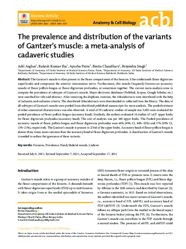 (PDF) The prevalence and distribution of the variants of Gantzer’s ...