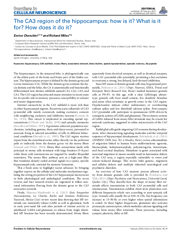 (PDF) The CA3 region of the hippocampus: how is it? What is it for? How ...
