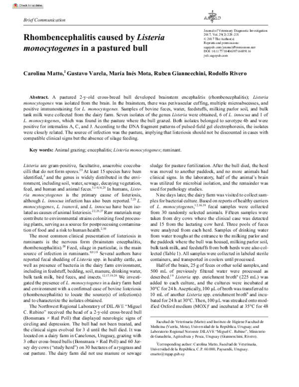 (PDF) Rhombencephalitis caused by Listeria monocytogenes with striking ...
