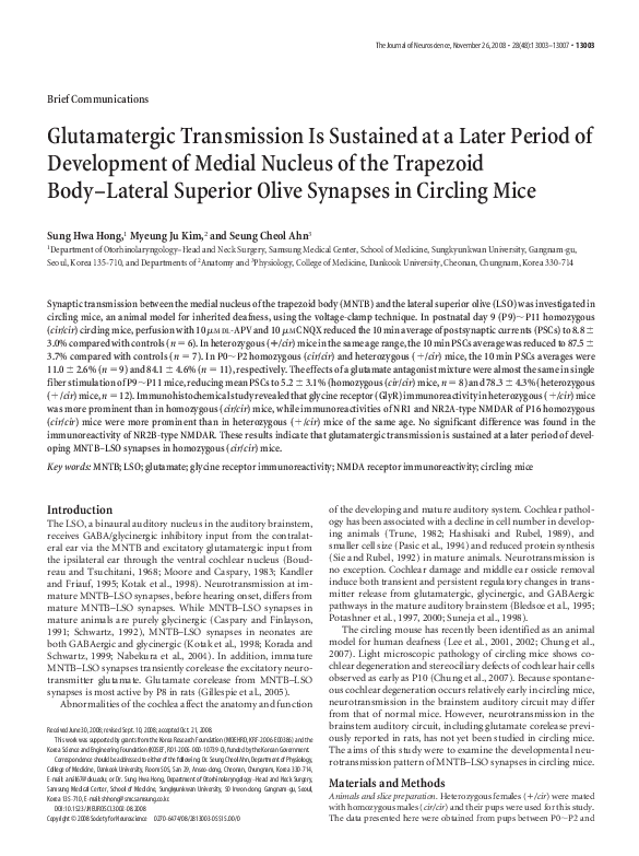 Glutamatergic Transmission Is Sustained at a Later Period of ...